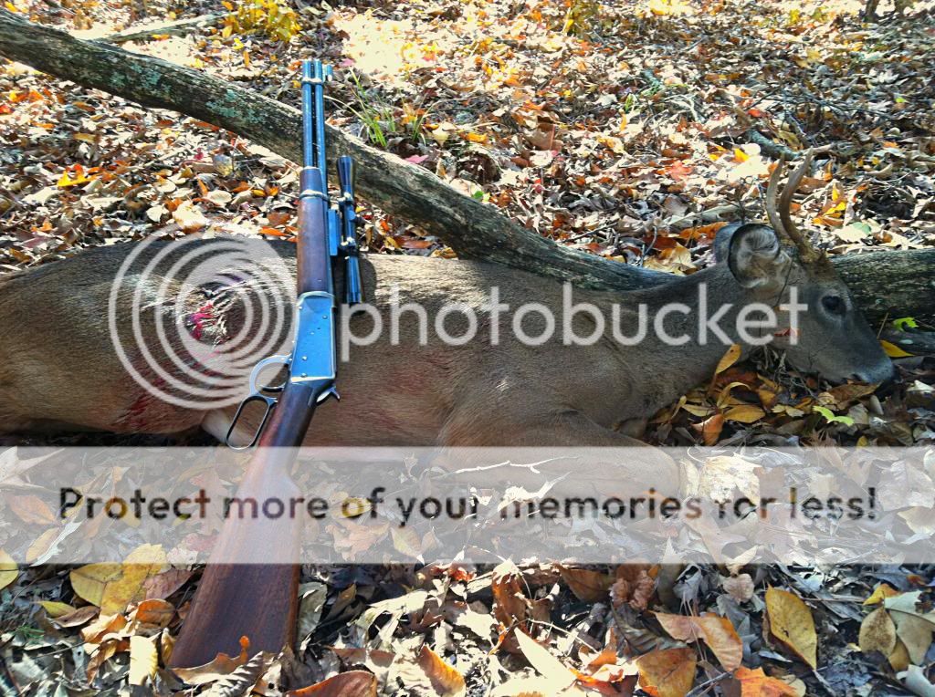 The old reliable: .30-30 | GON Forum