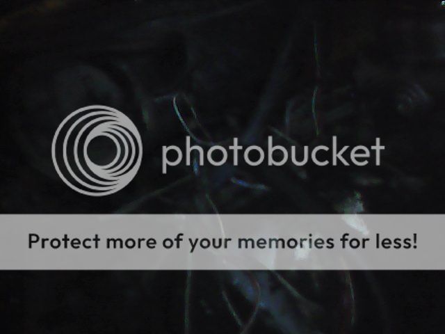 My buddy's redneck wonder - Ford Truck Enthusiasts Forums